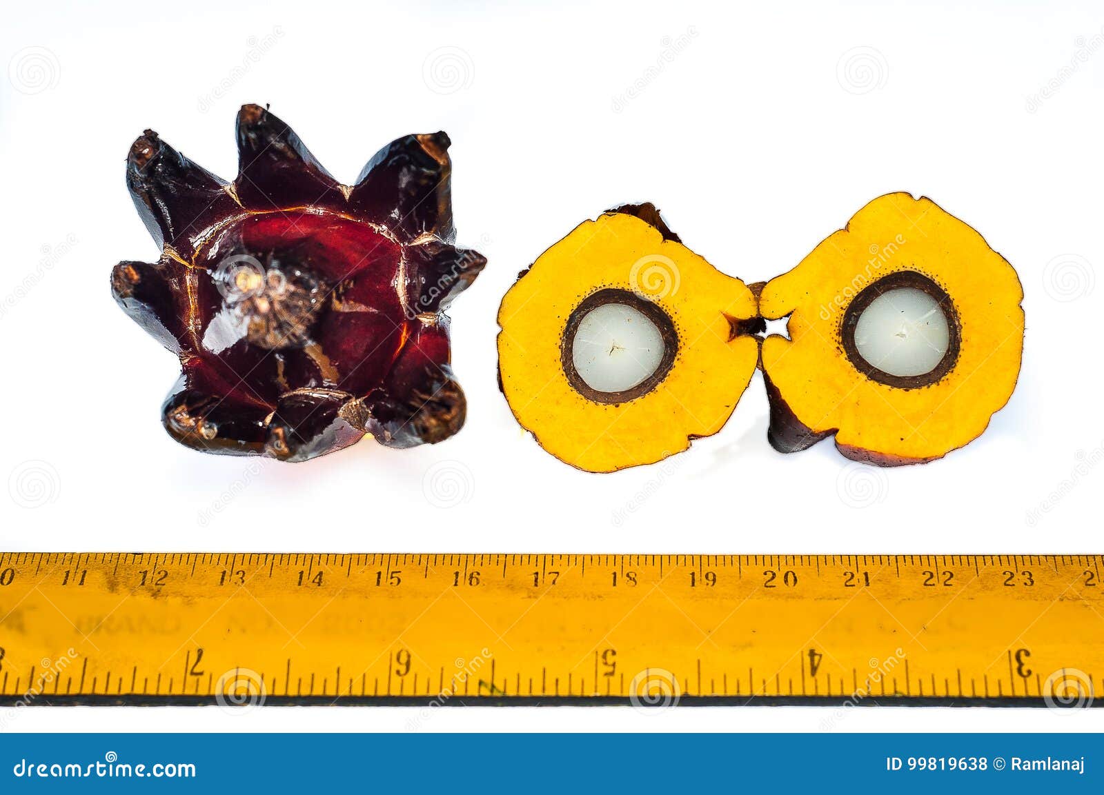 Mantle Oil Palm Fruit Stock Photos - Free & Royalty-Free Stock Photos ...