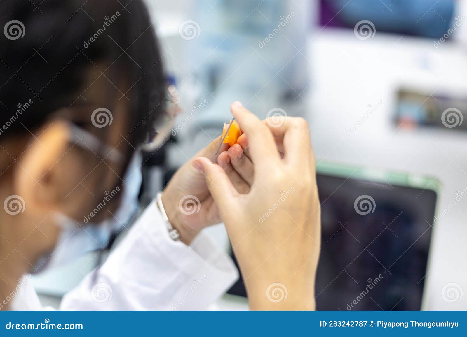 Manual Dissection of Plant Tissue Samples for Study. Stock Image ...