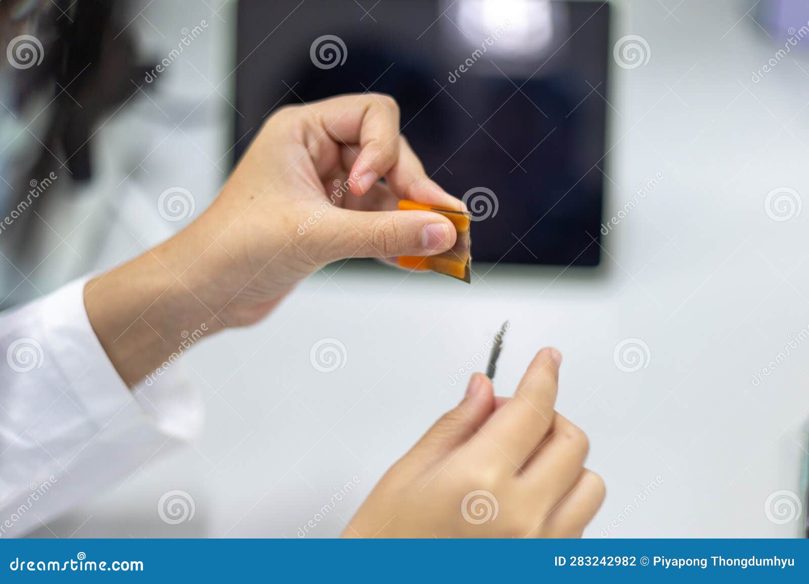 Manual Dissection of Plant Tissue Samples for Study. Stock Photo ...