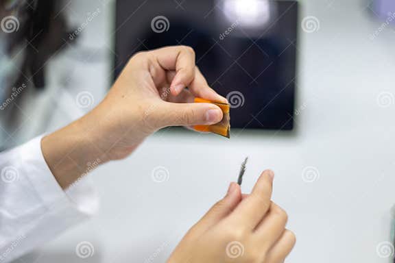 Manual Dissection of Plant Tissue Samples for Study. Stock Photo ...