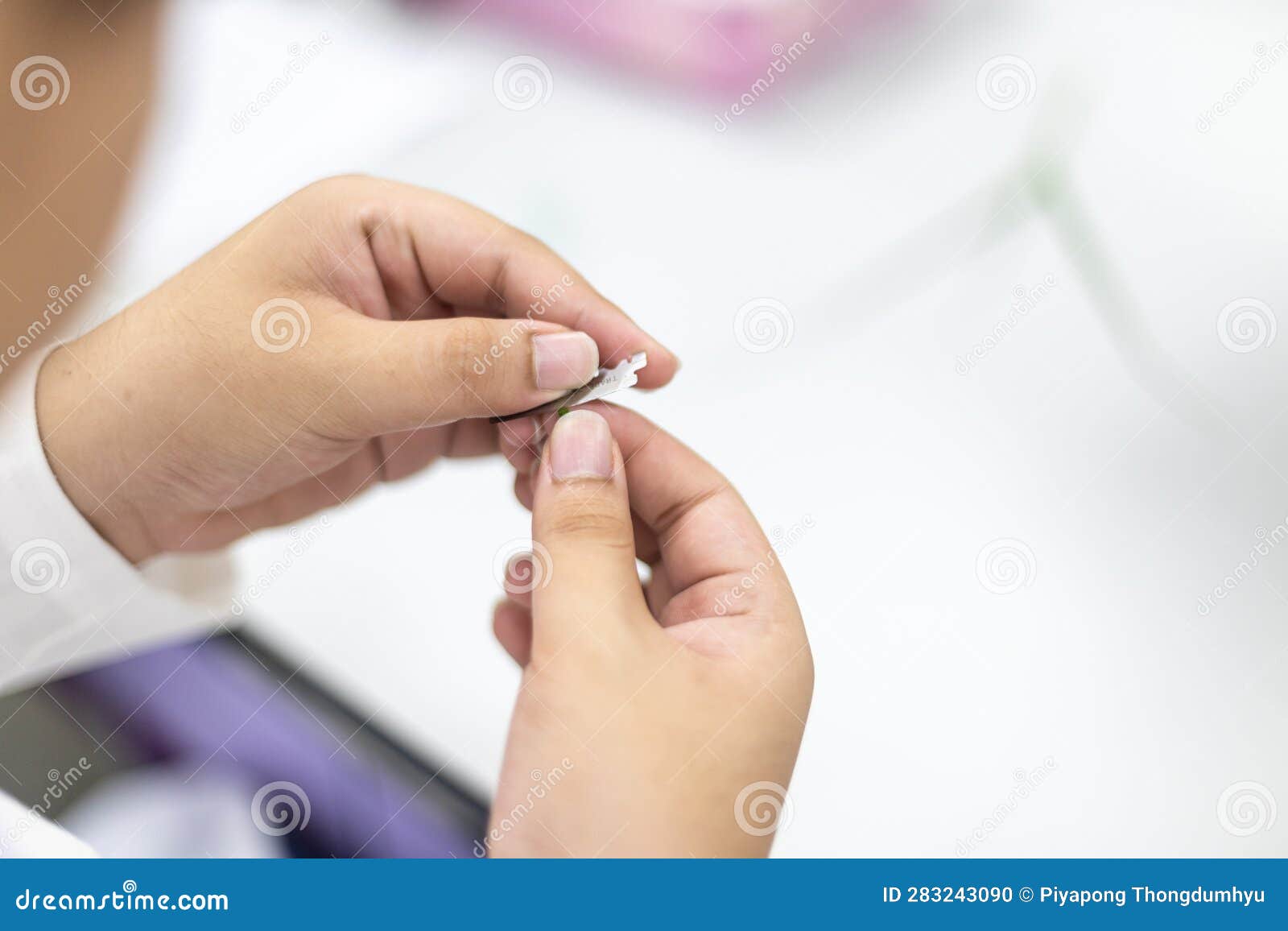 Manual Dissection of Plant Tissue Samples for Study. Stock Photo ...