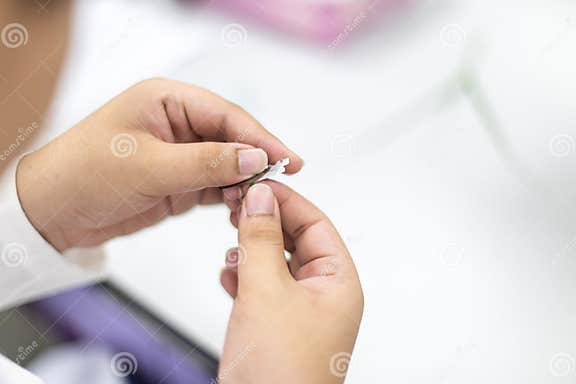 Manual Dissection of Plant Tissue Samples for Study. Stock Photo ...