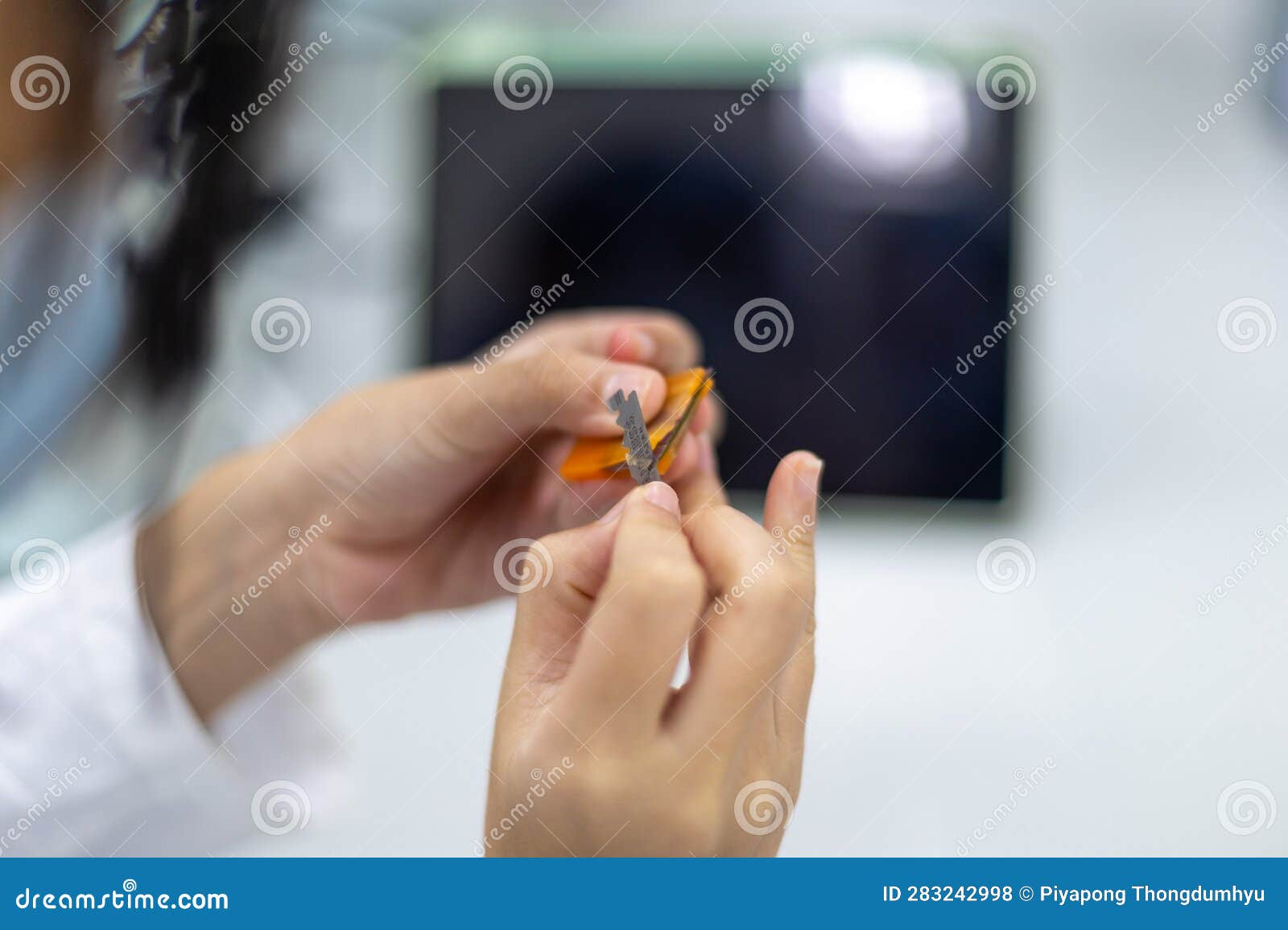 Manual Dissection of Plant Tissue Samples for Study. Stock Photo ...