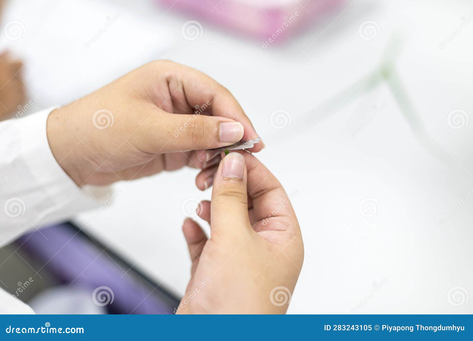 Manual Dissection of Plant Tissue Samples for Study. Stock Image ...