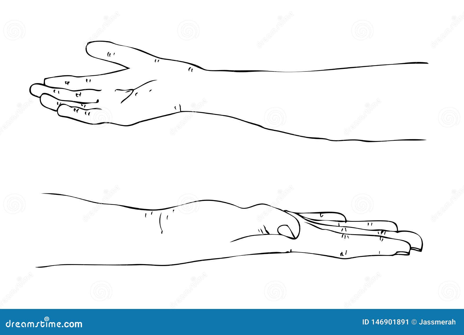 Manual Draw, Gesture 2 Hand Receive Something, Isolated on White Stock ...