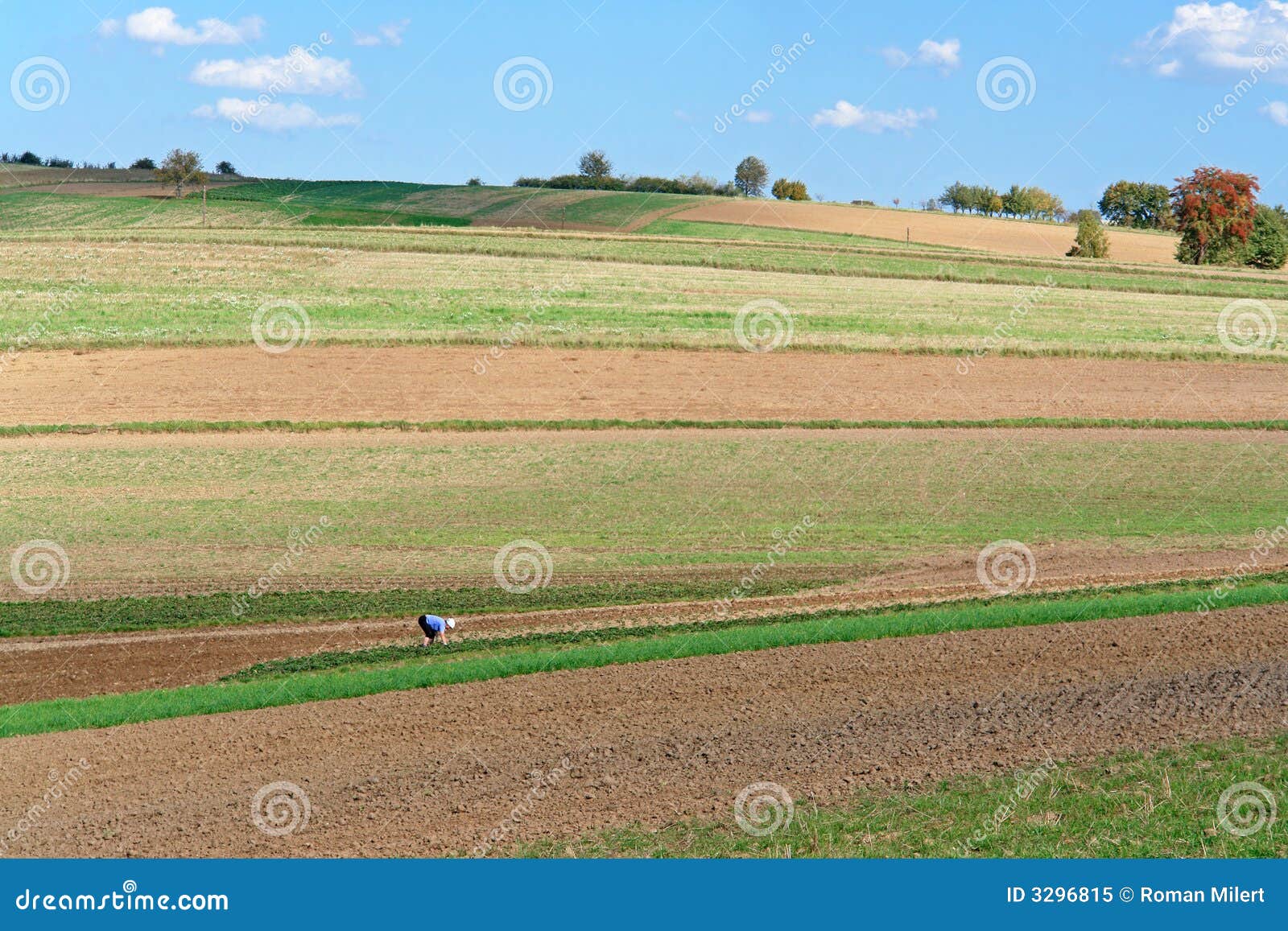 Manual farm works stock image. Image of soil, meadow, season - 3296815