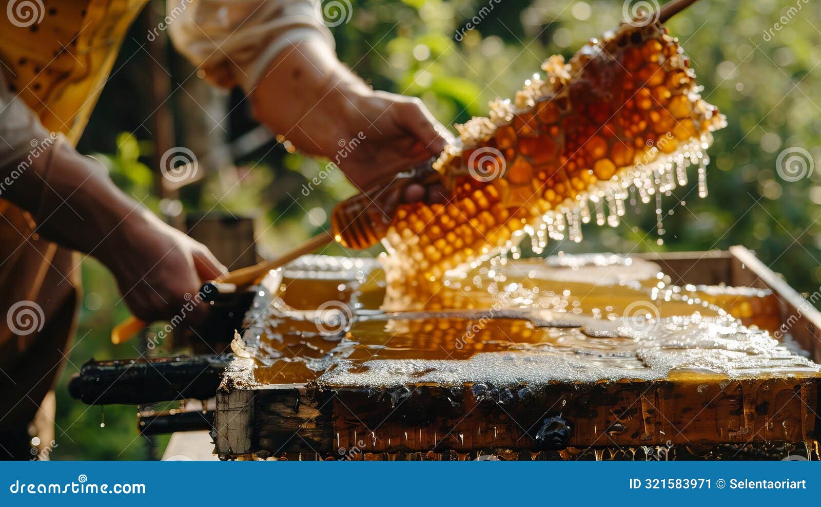 Manual Honey Extraction Process Stock Illustration - Illustration of ... Manual Honey Extraction Process Stock Illustration - Illustration of ...