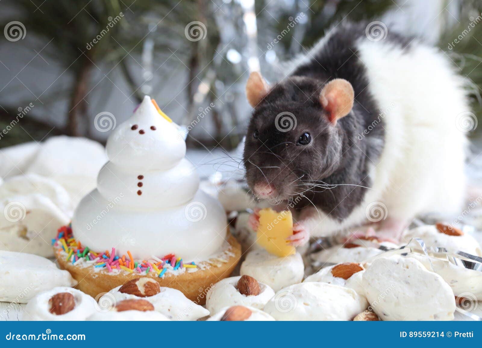 Manual Mouse Eating Cheese on the Holiday Table Stock Photo - Image of ...
