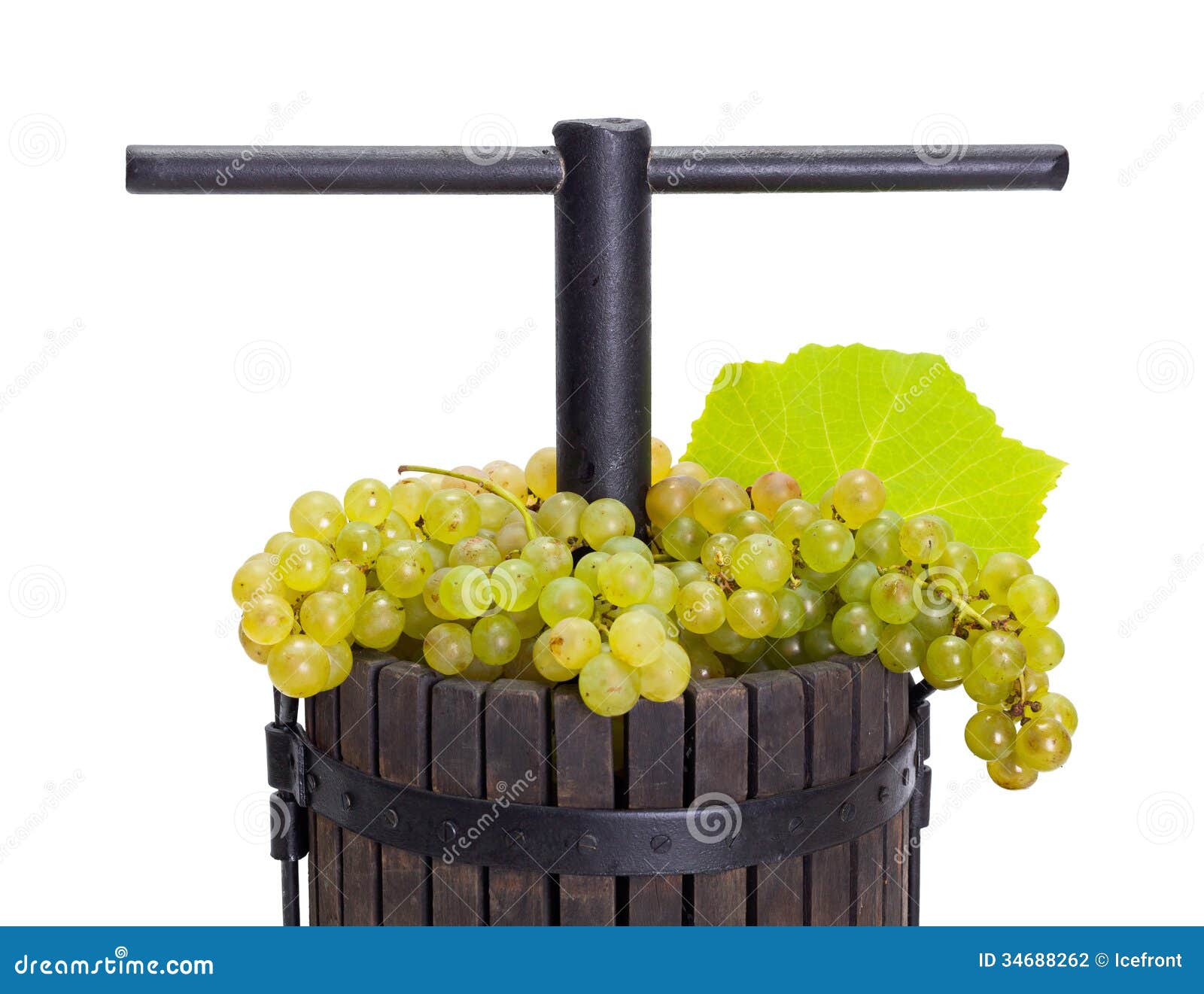 Manual Pressing Utensil Filled with White Grape Stock Photo - Image of ...
