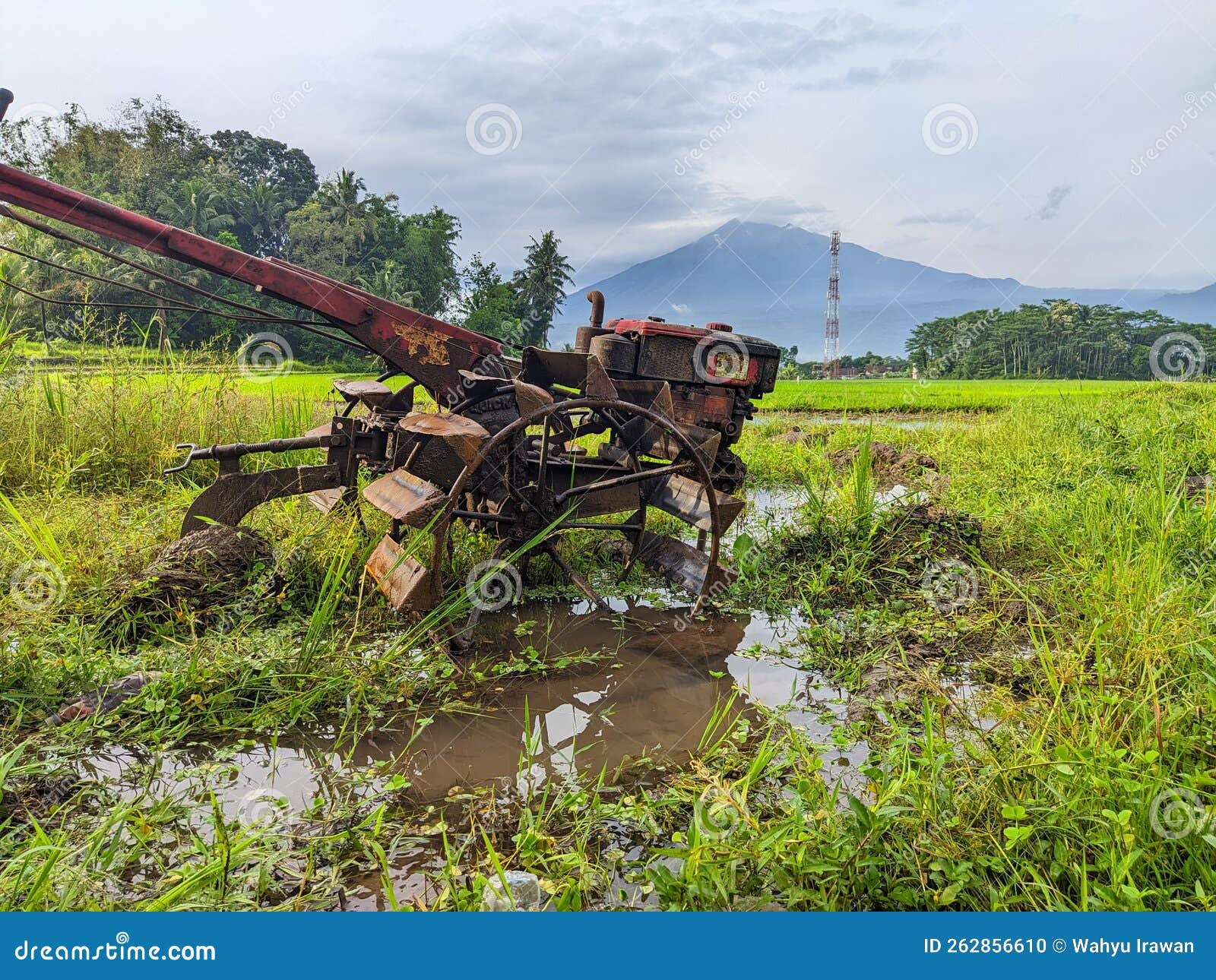 Manual Tractor on the Rice Field Stock Photo - Image of manual, railway ...
