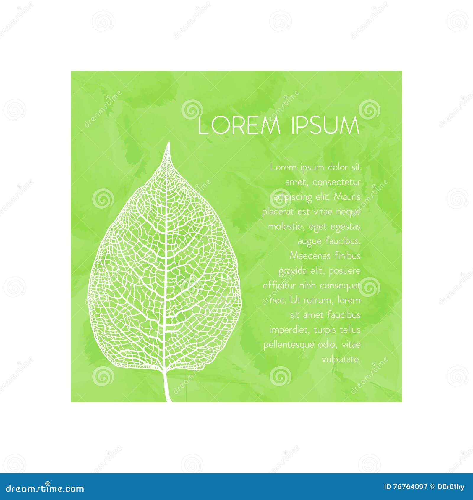 Manually Drawn Leaf Skeleton Stock Vector - Illustration of light ...