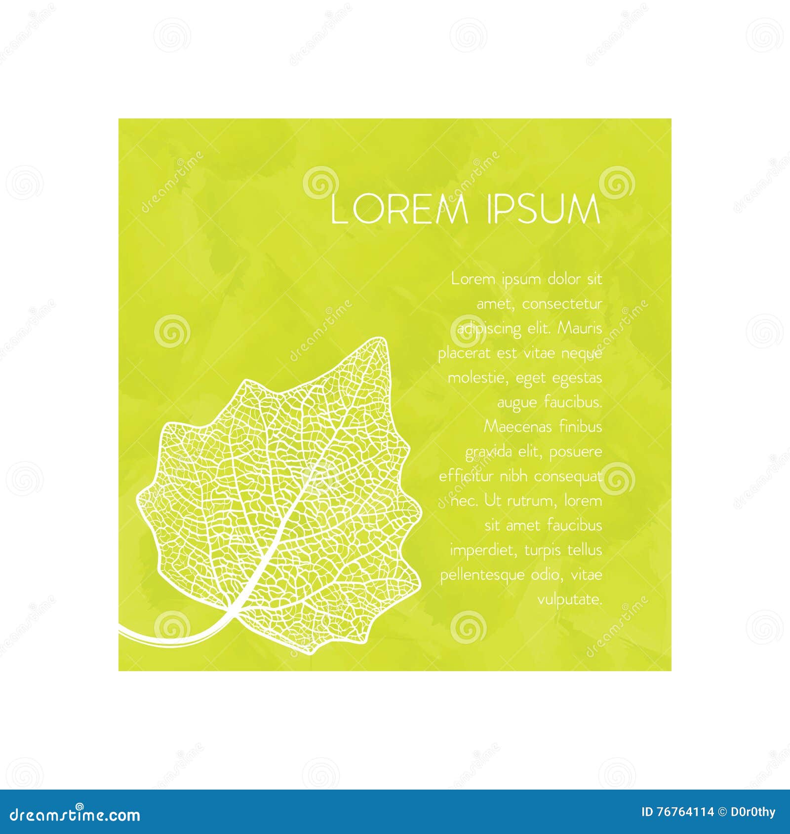 Vector Set Of Skeletonized Leaves On A Black Background | CartoonDealer ...