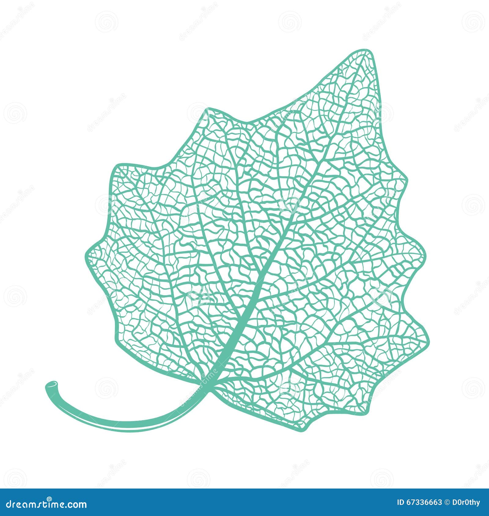 Manually Drawn Leaf Skeleton Stock Vector - Illustration of leaf ...