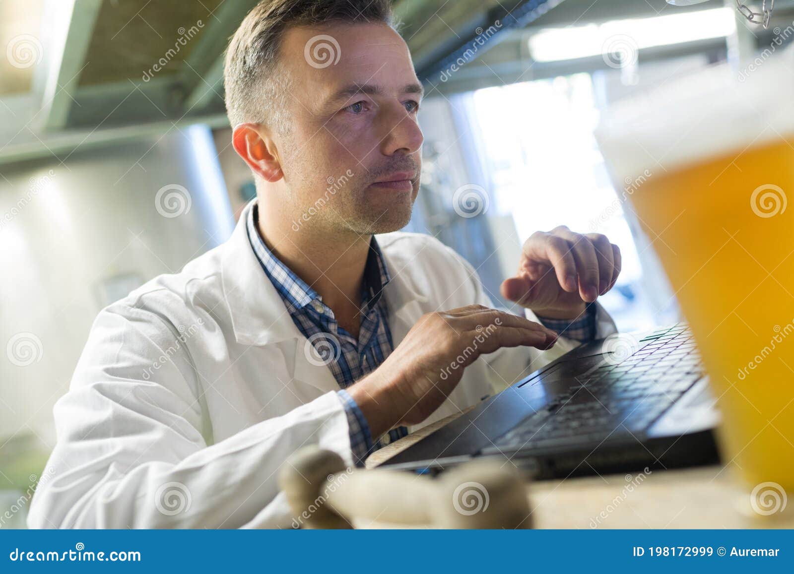 Manufacturer Working on Computer at Brewery Stock Image - Image of ...