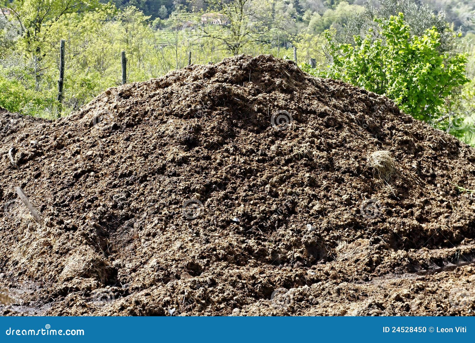 Manure stock photo. Image of stink, manure, earth, fertilizer - 24528450