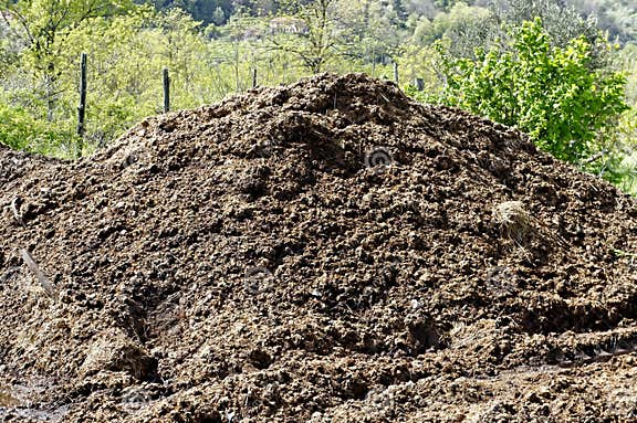 Manure stock photo. Image of stink, manure, earth, fertilizer - 24528450