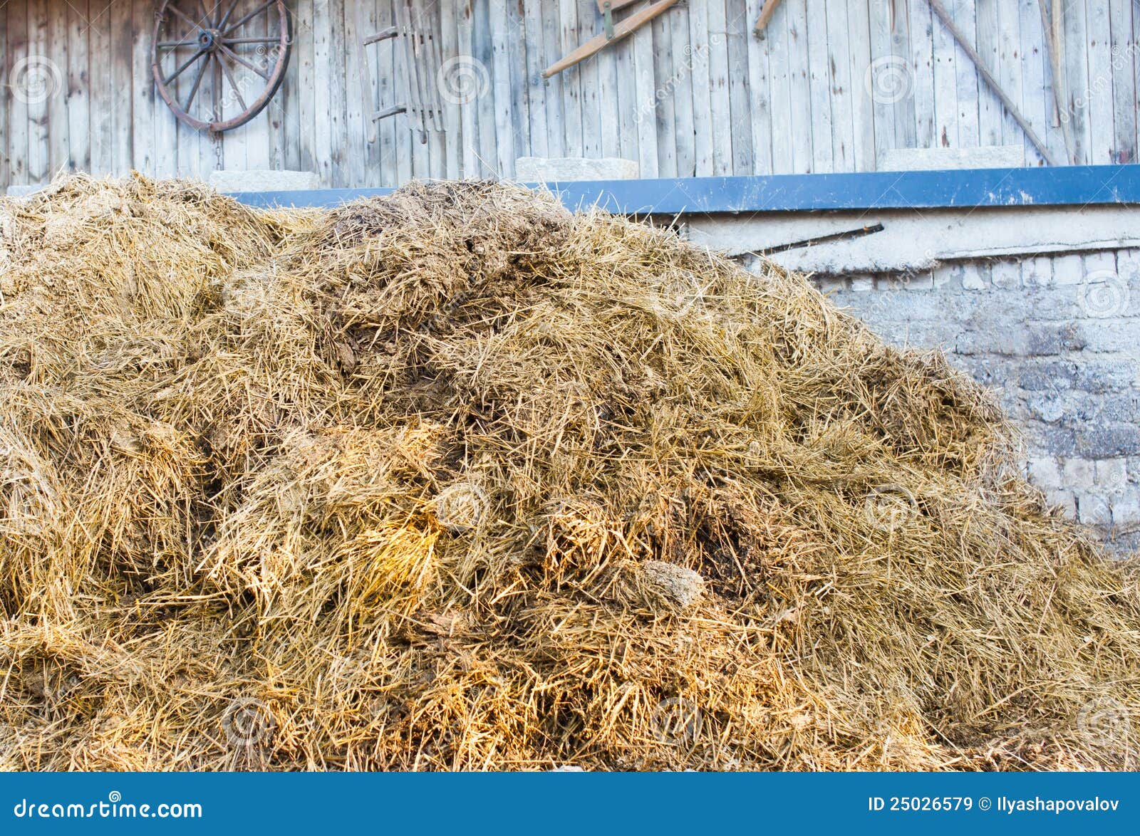 Manure stock image. Image of heap, dung, village, rural - 25026579