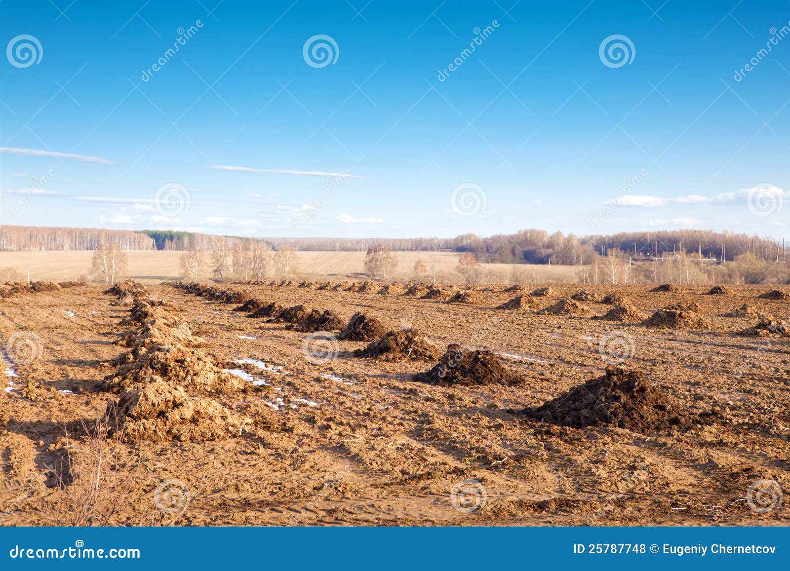 Manure stock photo. Image of growth, horizontal, organic - 25787748