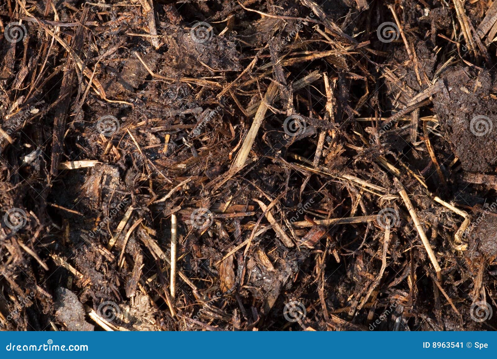 Manure background stock image. Image of fragrant, fresh - 8963541