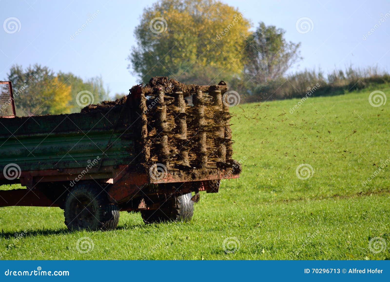 Manure is discharged stock image. Image of nature, farm - 70296713