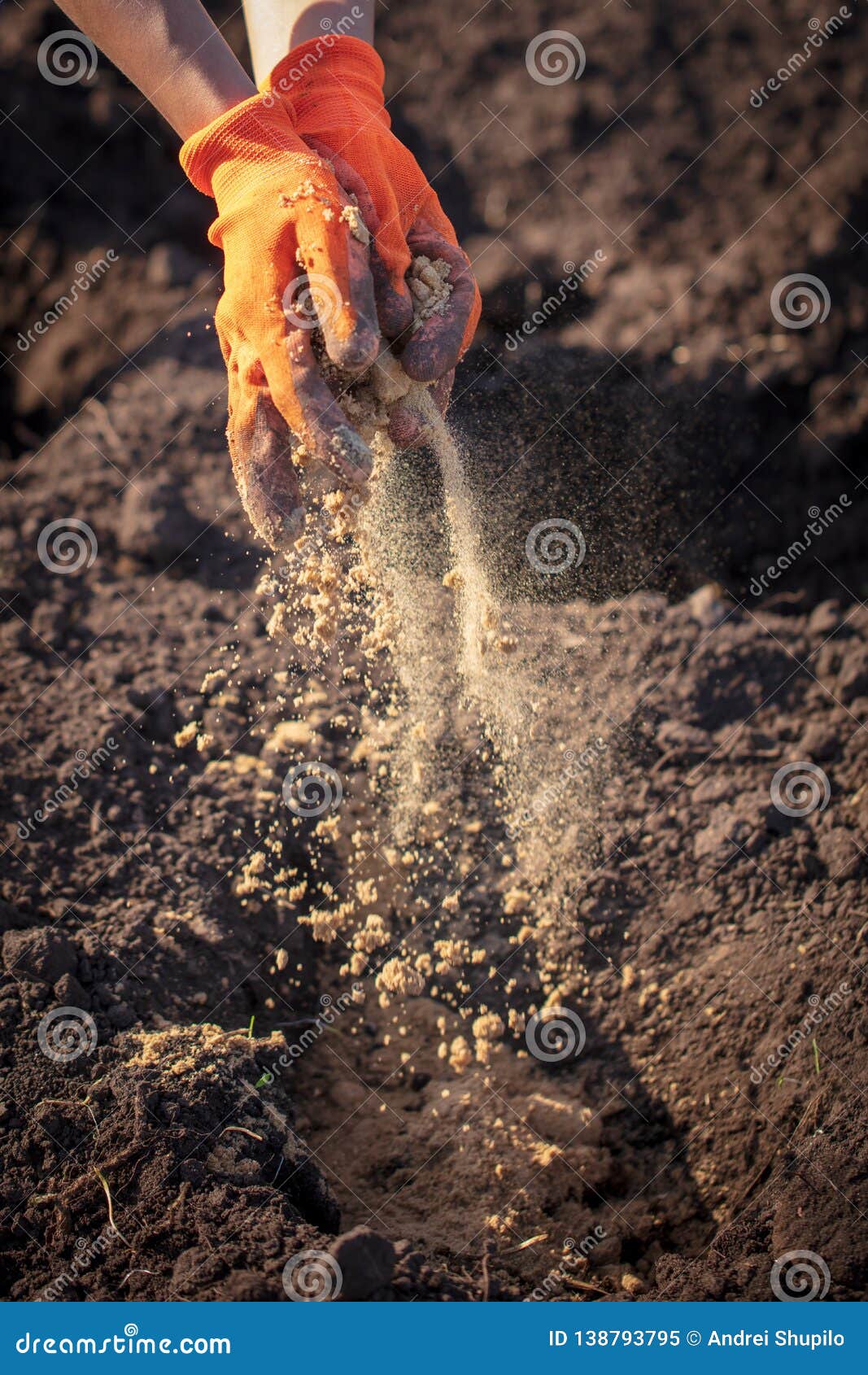 The Manure in the Garden in the Spring Stock Image - Image of land ...