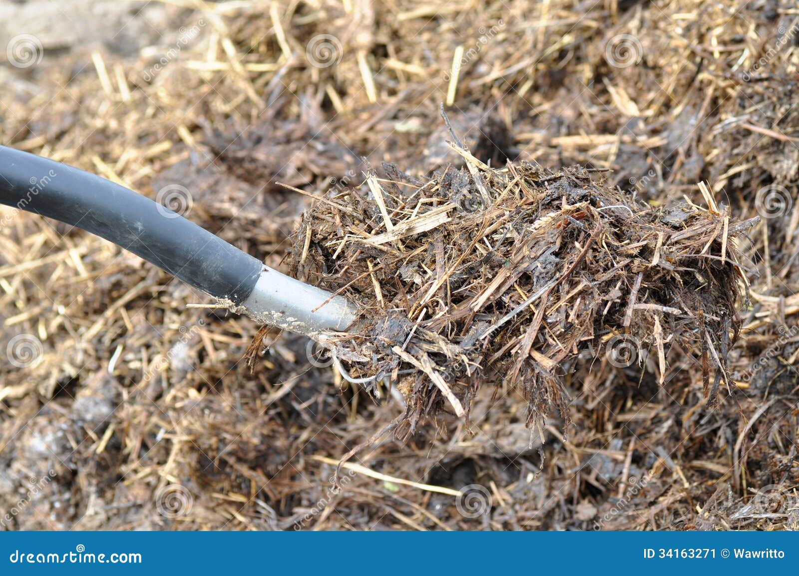 Manure mixed with hay stock image. Image of rural, farm - 34163271
