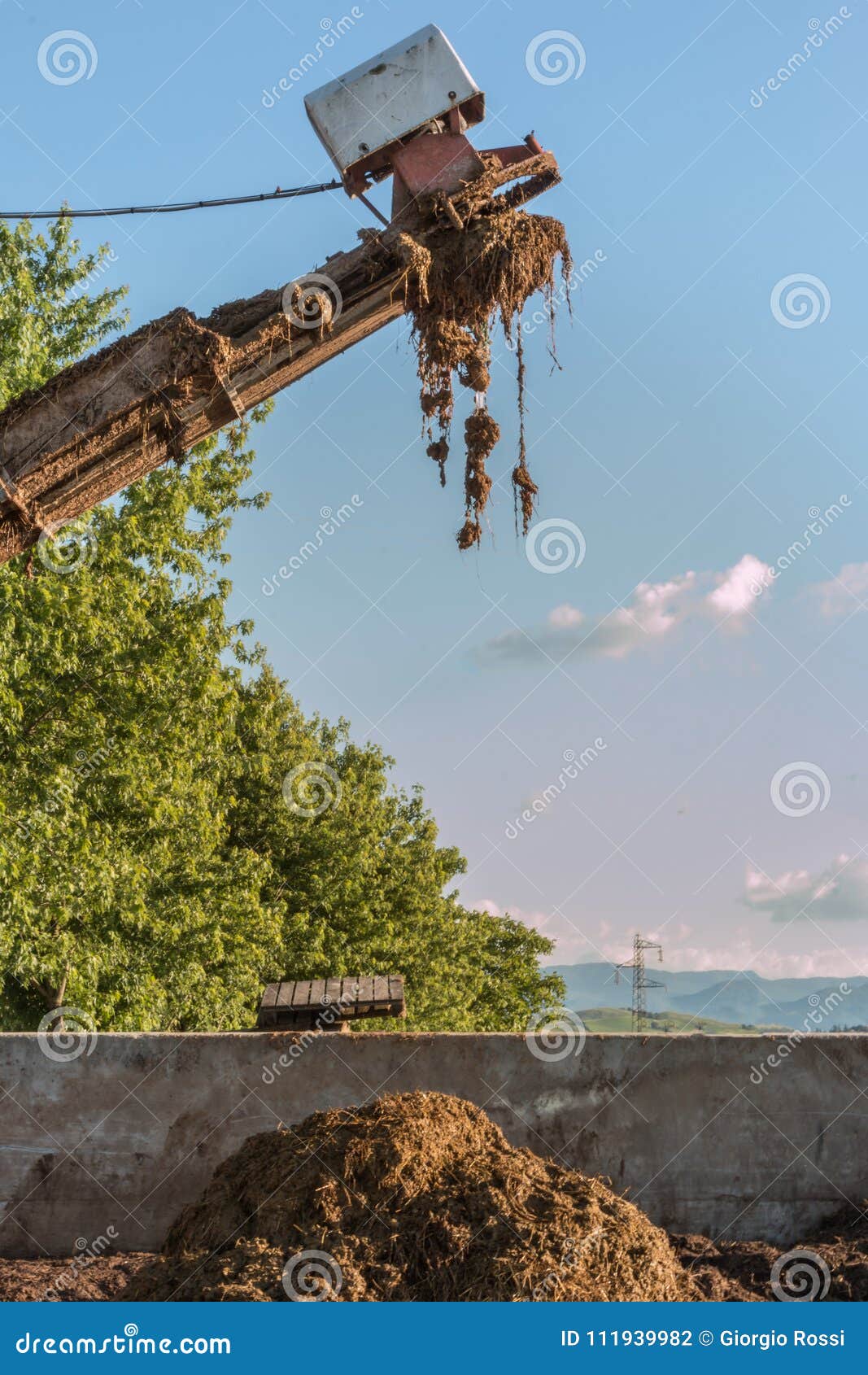 Manure Removing System: Elevator Ramp in Action Stock Photo - Image of ...