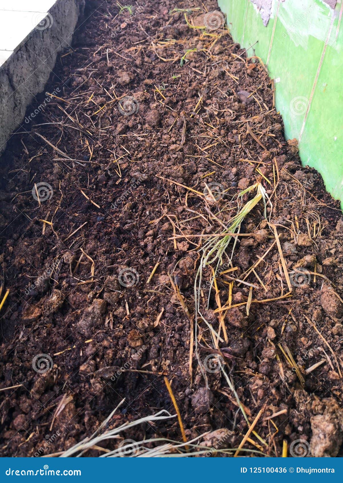 Manure with straw and soil stock photo. Image of elements - 125100436