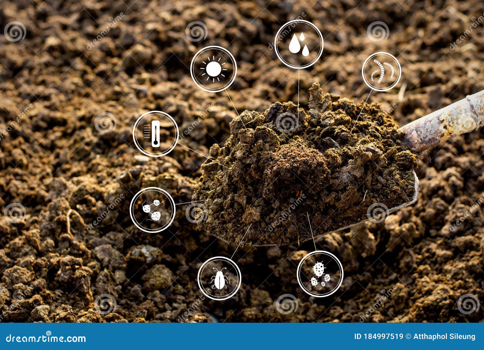 Cow Manure And Horse Manure Fertilzers Stamp Vector Illustration ...