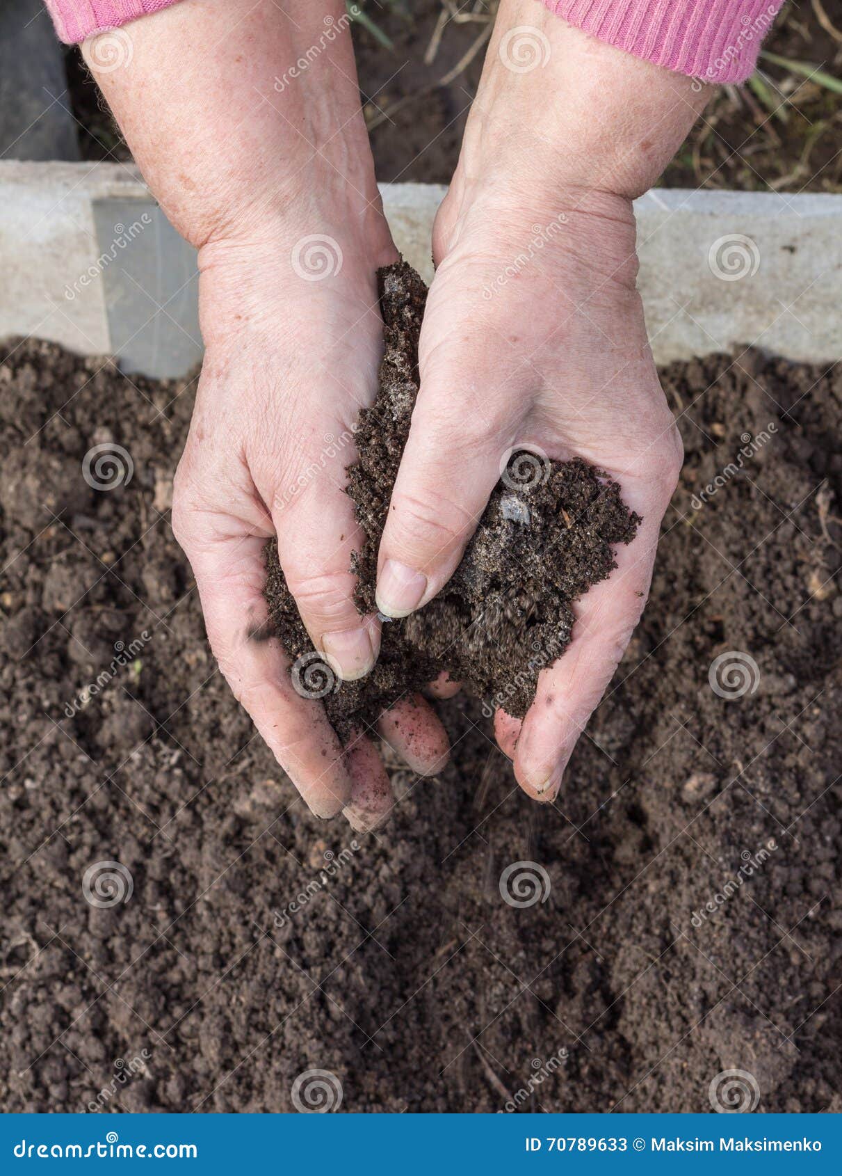 Manuring Soil with Hands after Planted Seeds Stock Image - Image of ...