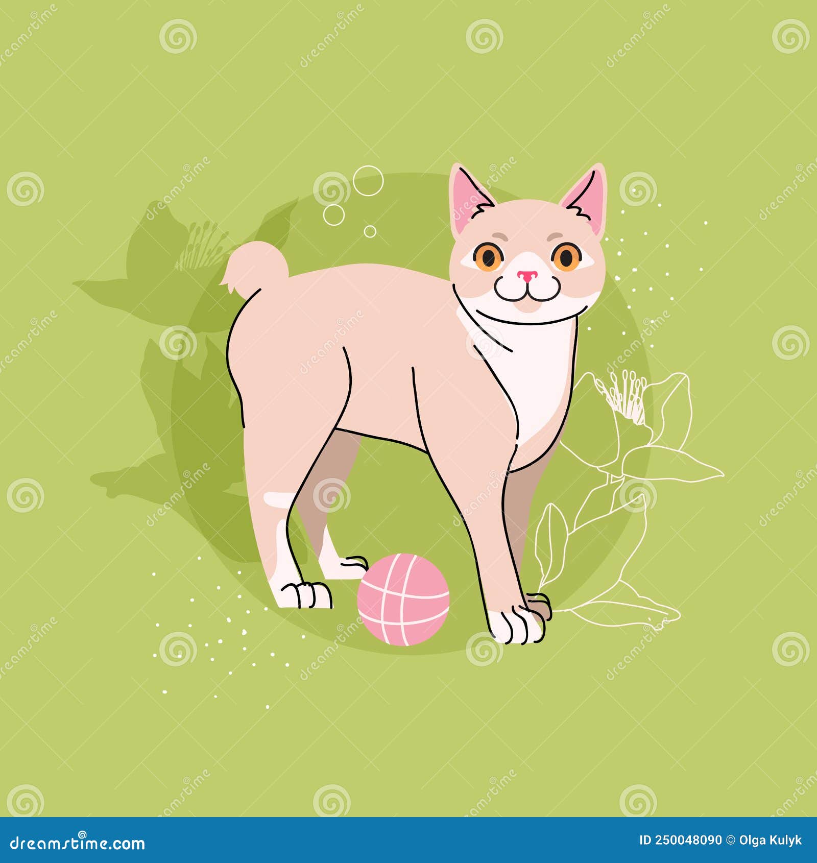 Portrait Of Manx Cat. Short-haired Tailless Animal With Cute Rounded ...