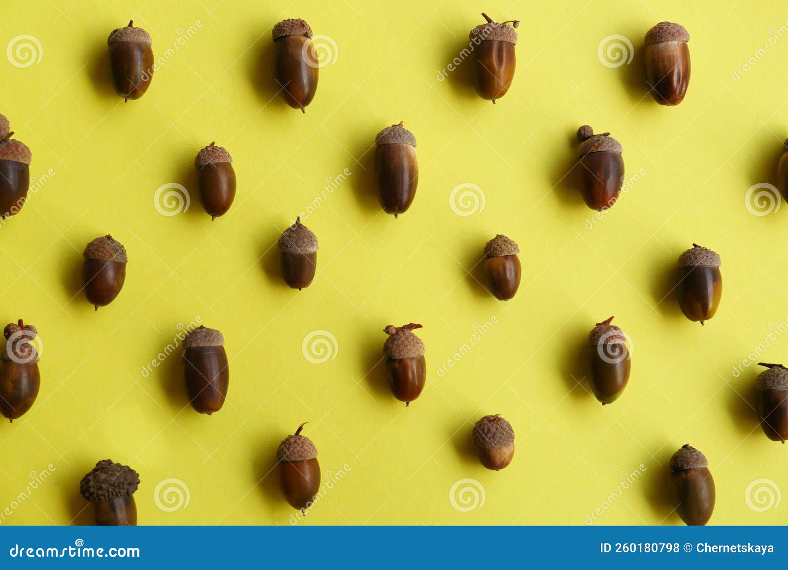 Many Acorns on Yellow Background, Flat Lay Stock Photo - Image of ...