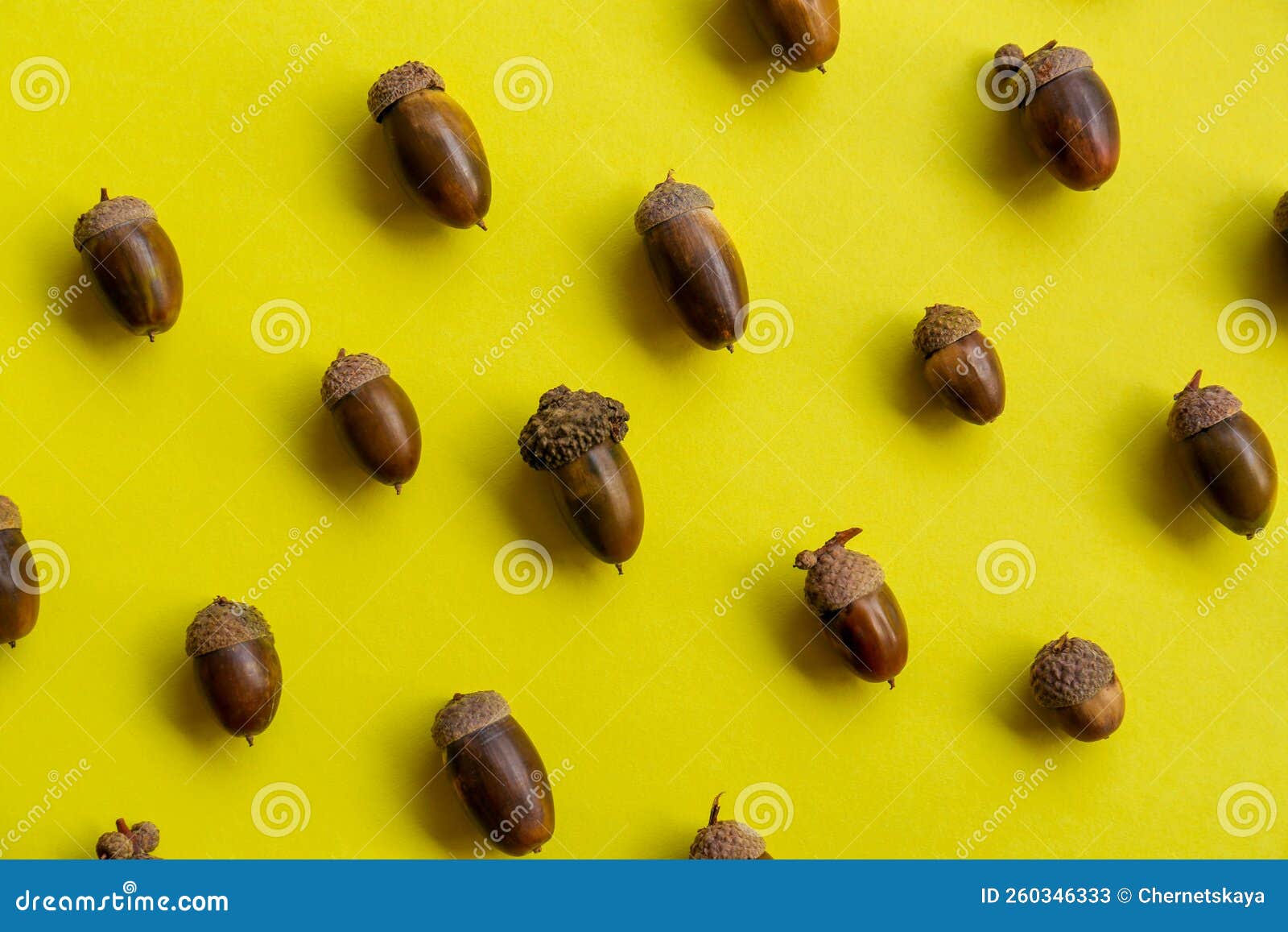 Many Acorns on Yellow Background, Flat Lay Stock Image - Image of plant ...