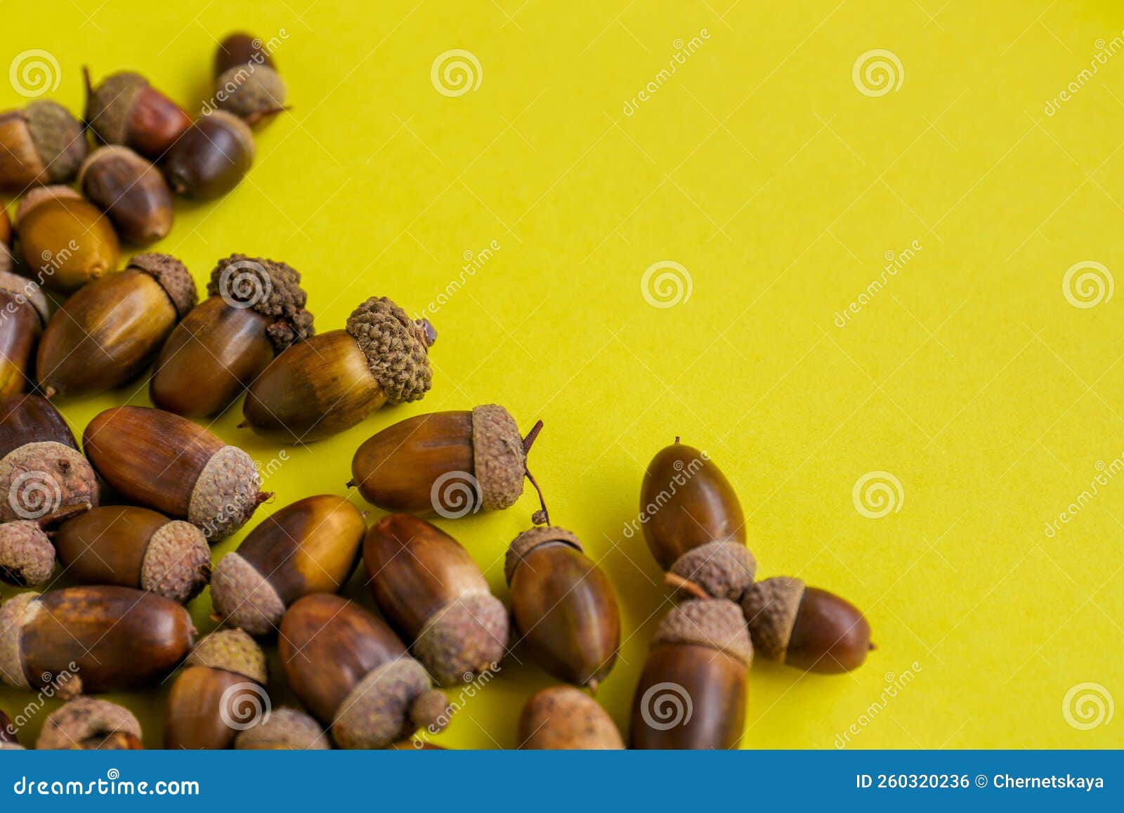 Many Acorns on Yellow Background. Space for Text Stock Photo - Image of ...