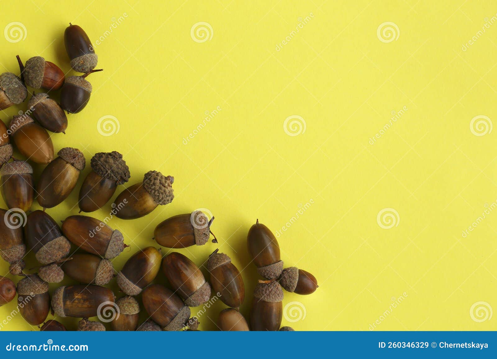 Many Acorns on Yellow Background, Top View. Space for Text Stock Image ...