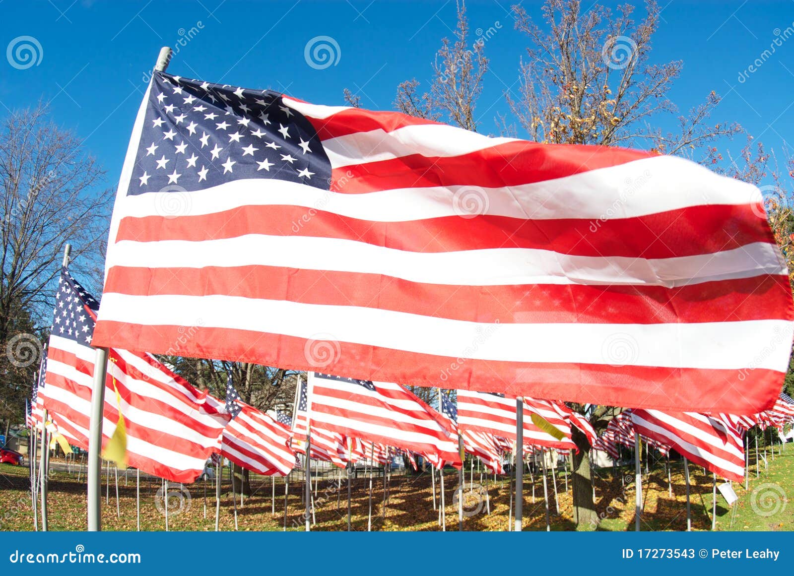 Many American Flags stock image. Image of symbolic, american - 17273543