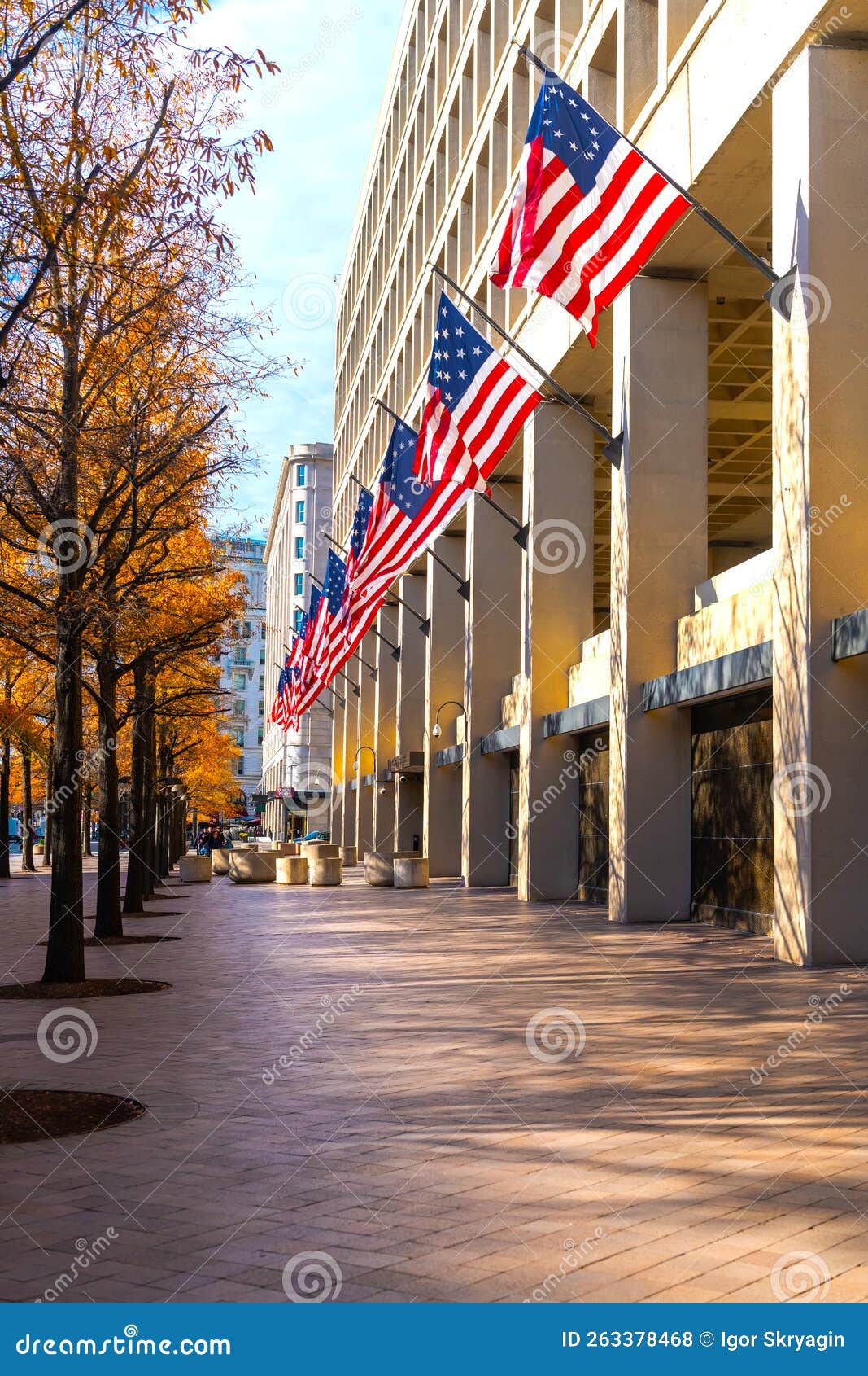 Many American Flags are Affixed Along a Building in Washington DC ...