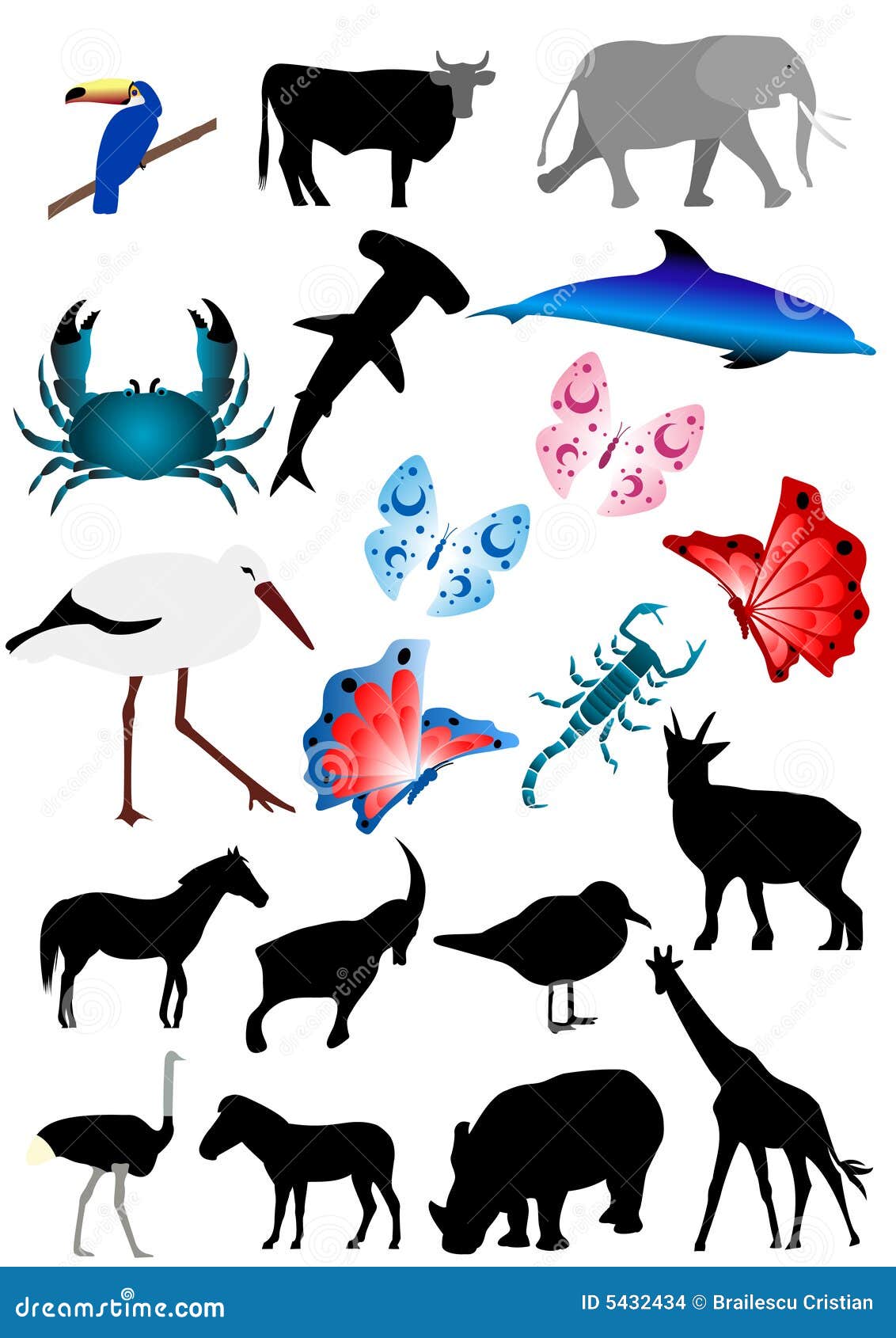 Many animals stock vector. Illustration of vector, giraffe - 5432434