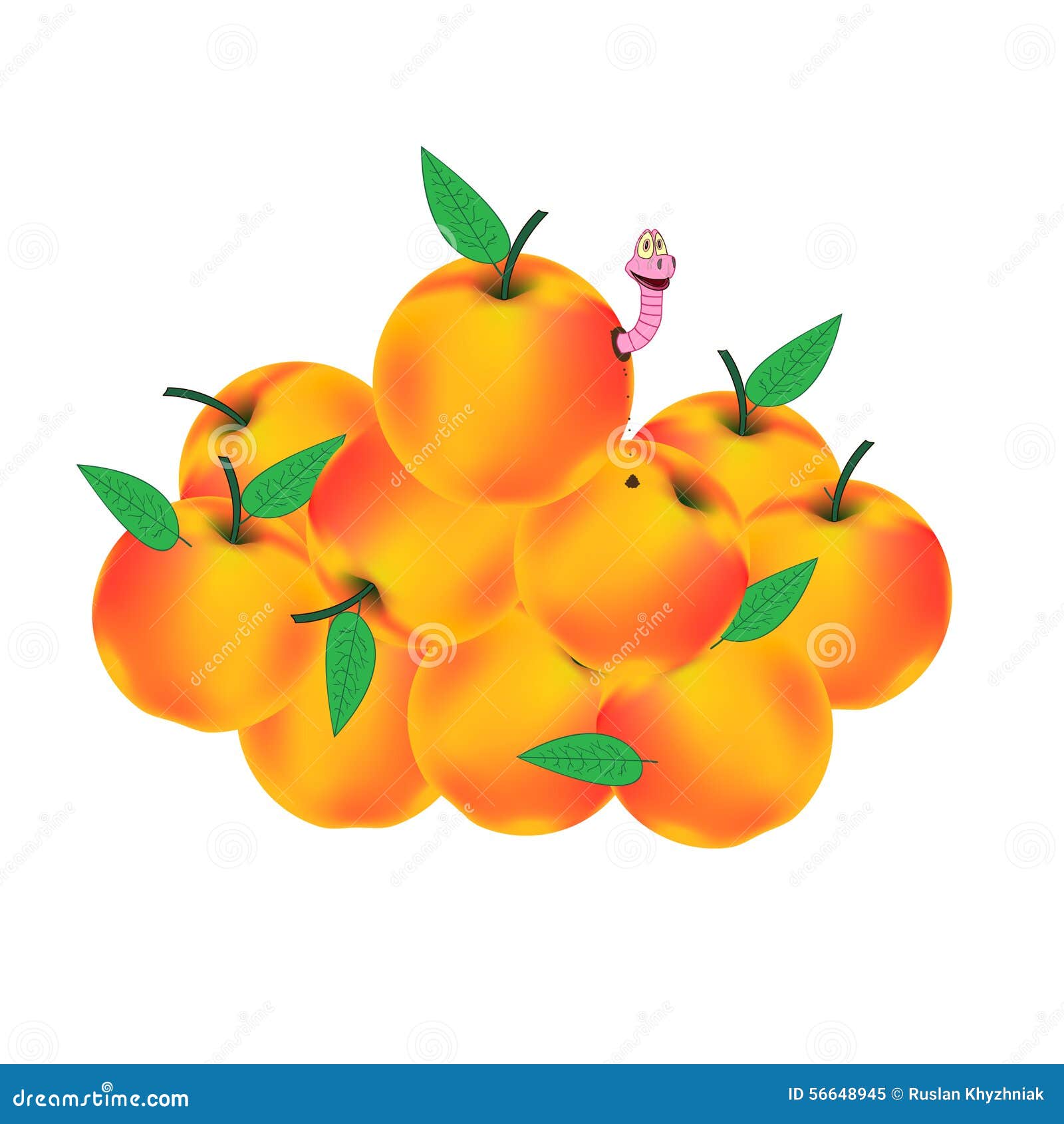 Many apples stock vector. Illustration of apple, graphic - 56648945