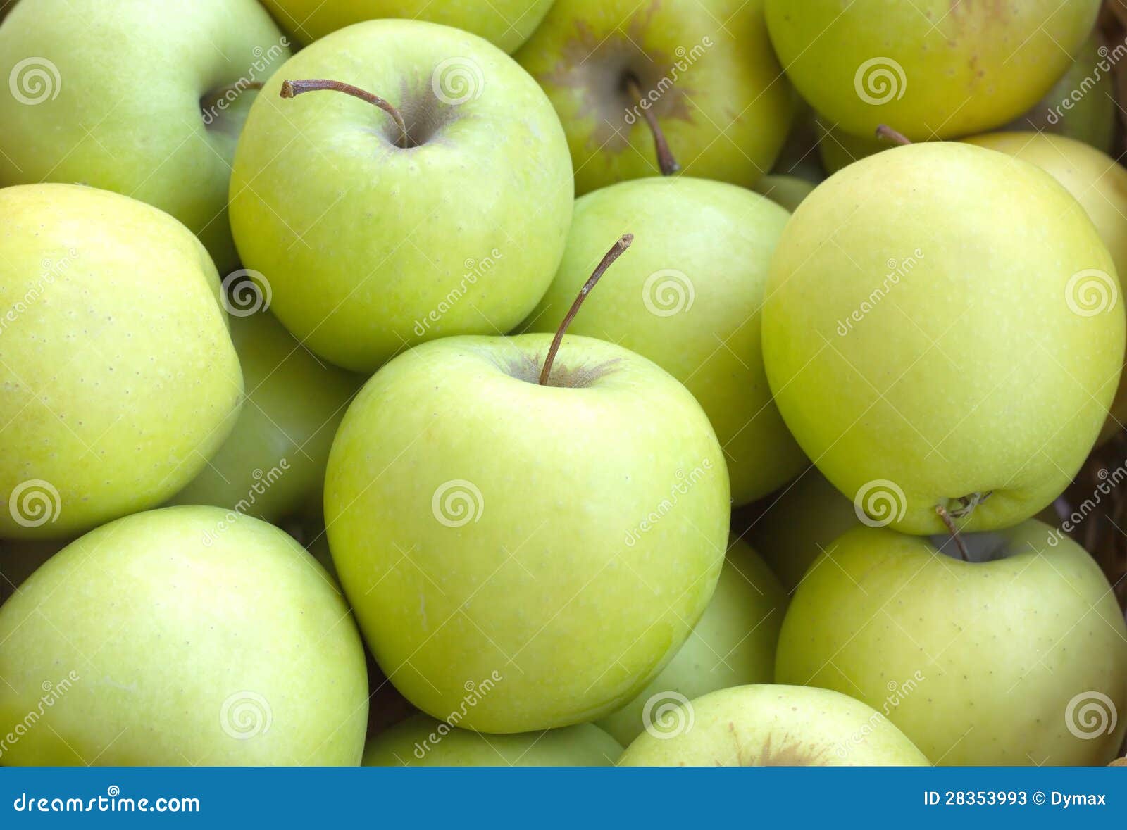 Many apples closeup stock image. Image of fruit, outdoors - 28353993