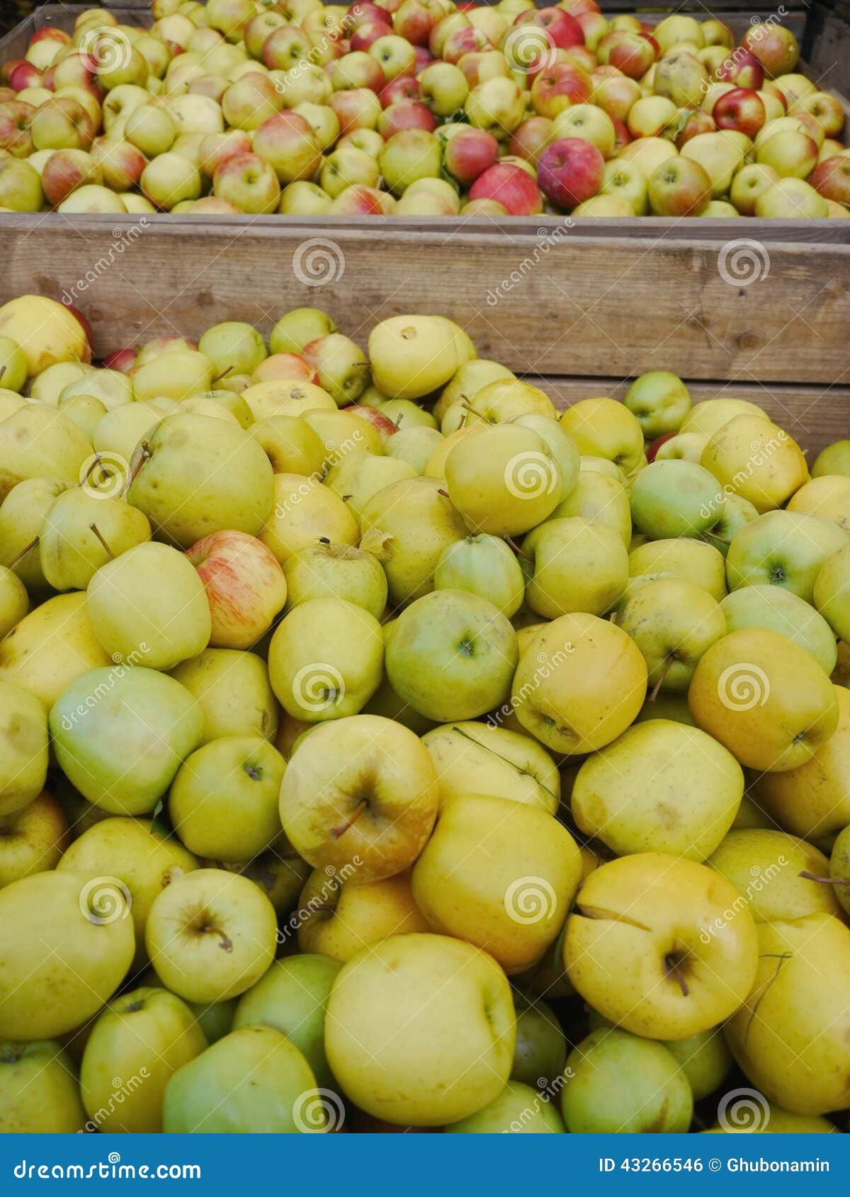 Many Apples in Wooden Boxes Stock Photo - Image of harvest, sweet: 43266546