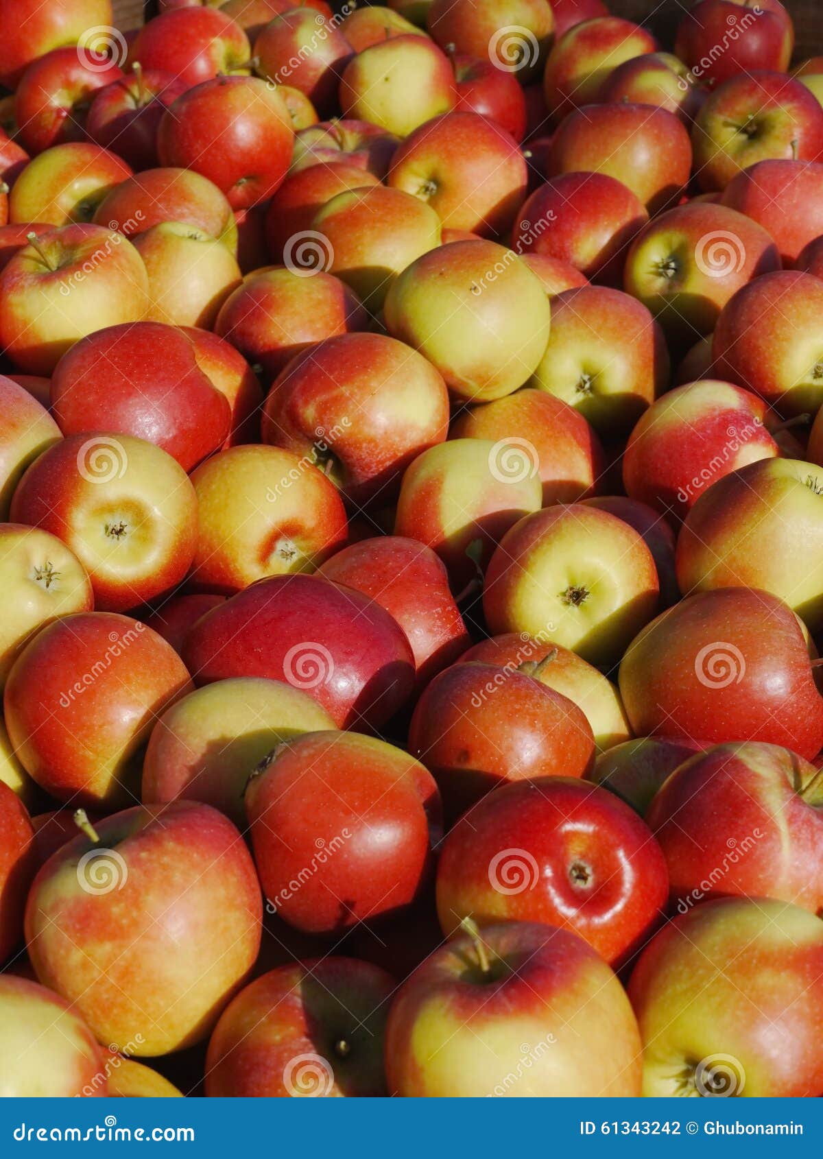Many Apples in Wooden Boxes Stock Photo - Image of horizontal, heap ...