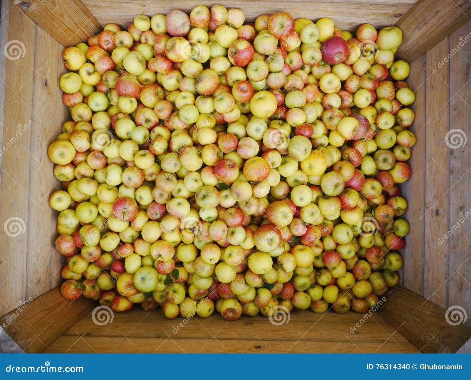 Many Apples in Wooden Boxes Stock Photo - Image of farm, heap: 76314340