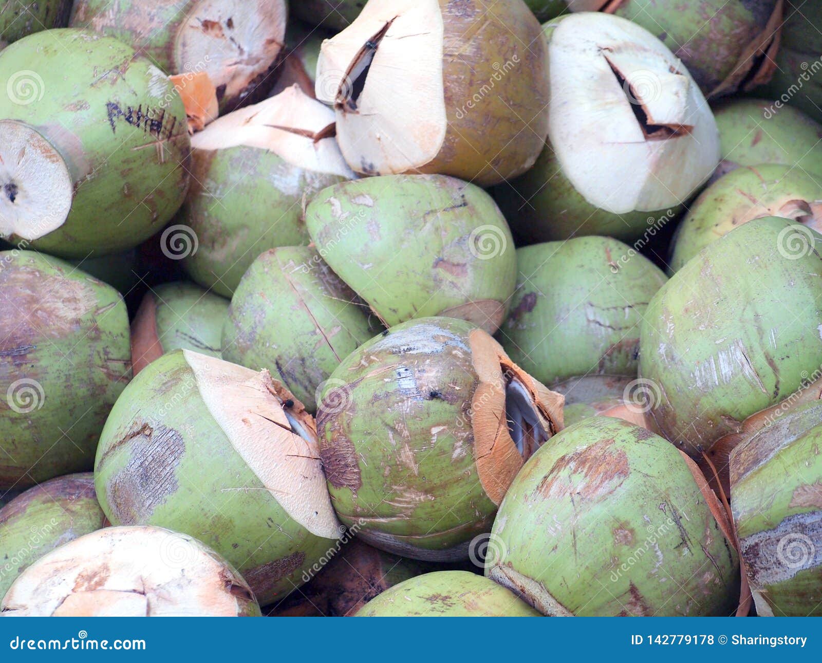 Many Asian coconuts stock photo. Image of nature, coconut - 142779178