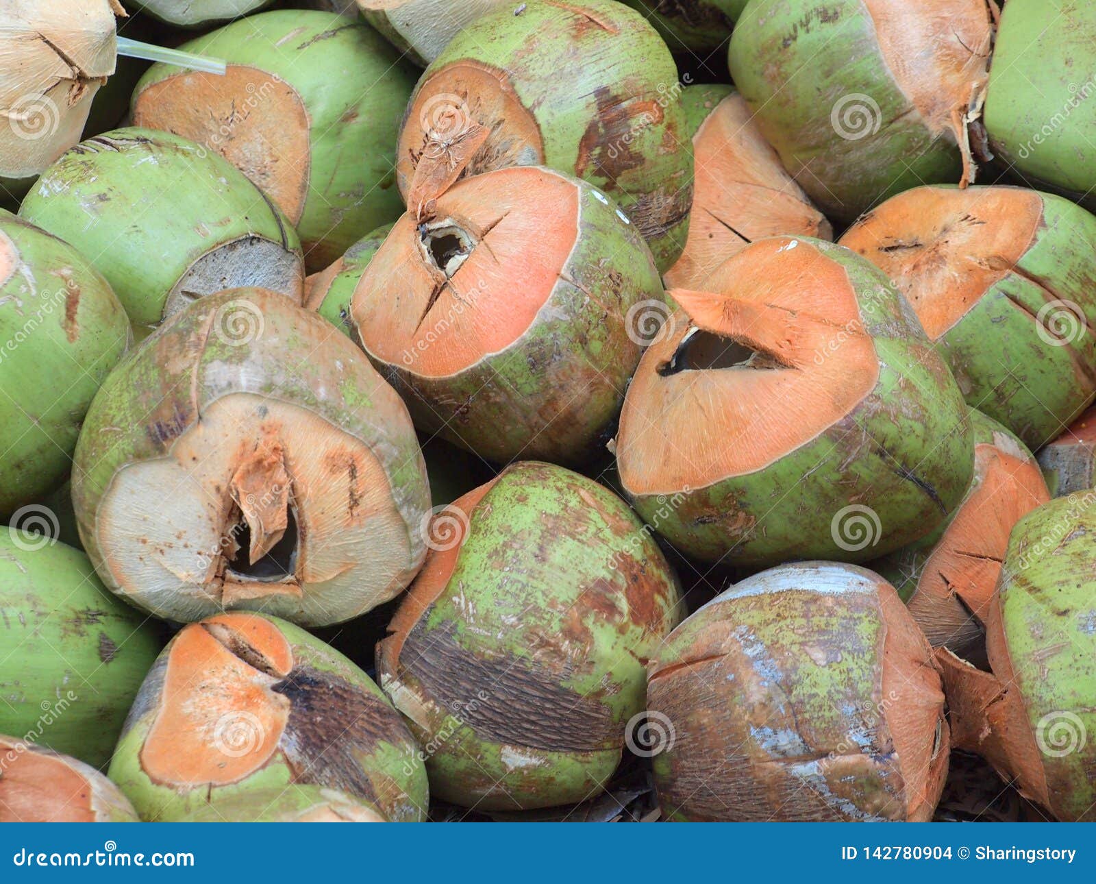 Many Asian coconuts stock photo. Image of flora, growth - 142780904