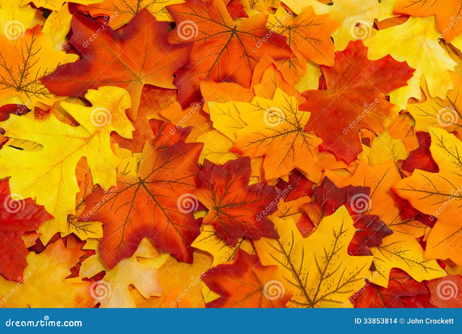 Many Autumn Leaves stock photo. Image of plentiful, seasonal - 33853814