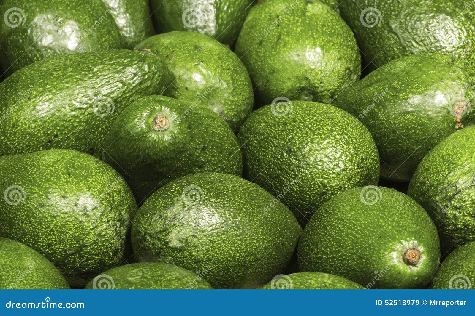 Avocado stock image. Image of pile, groceries, closeup - 52513979