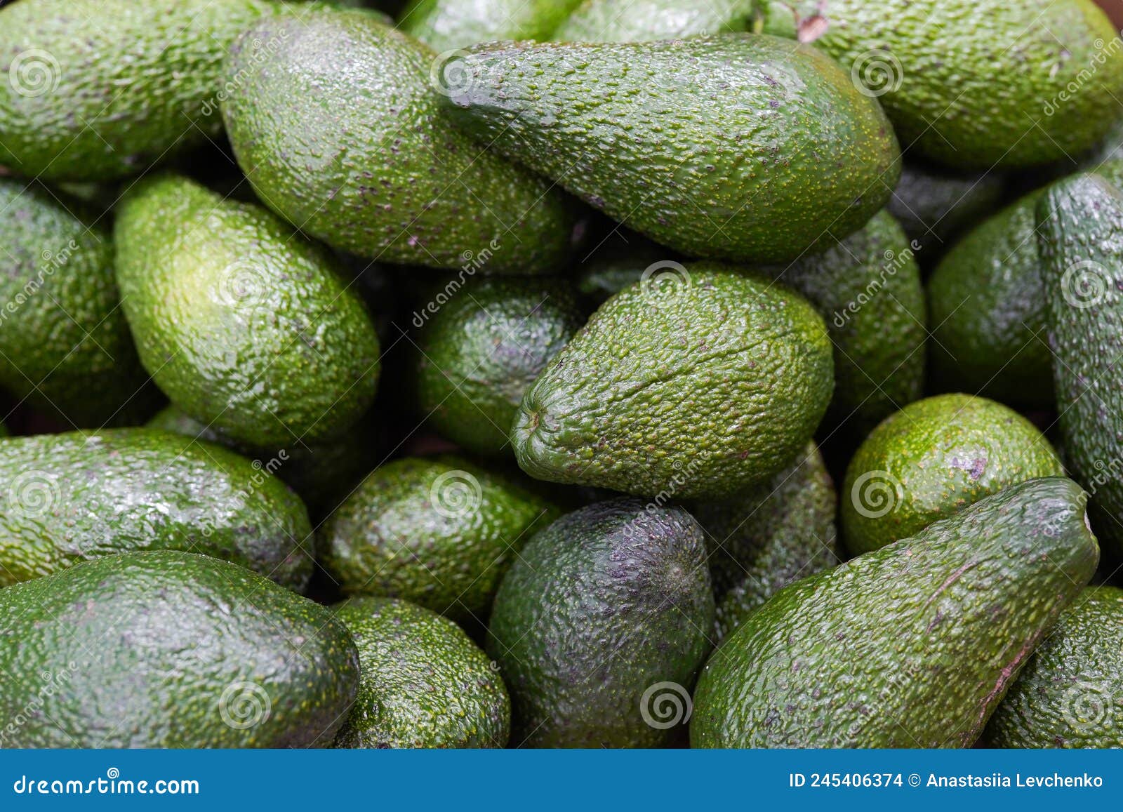 Many Avocado Display for Sale at Local Store Stock Photo - Image of ...