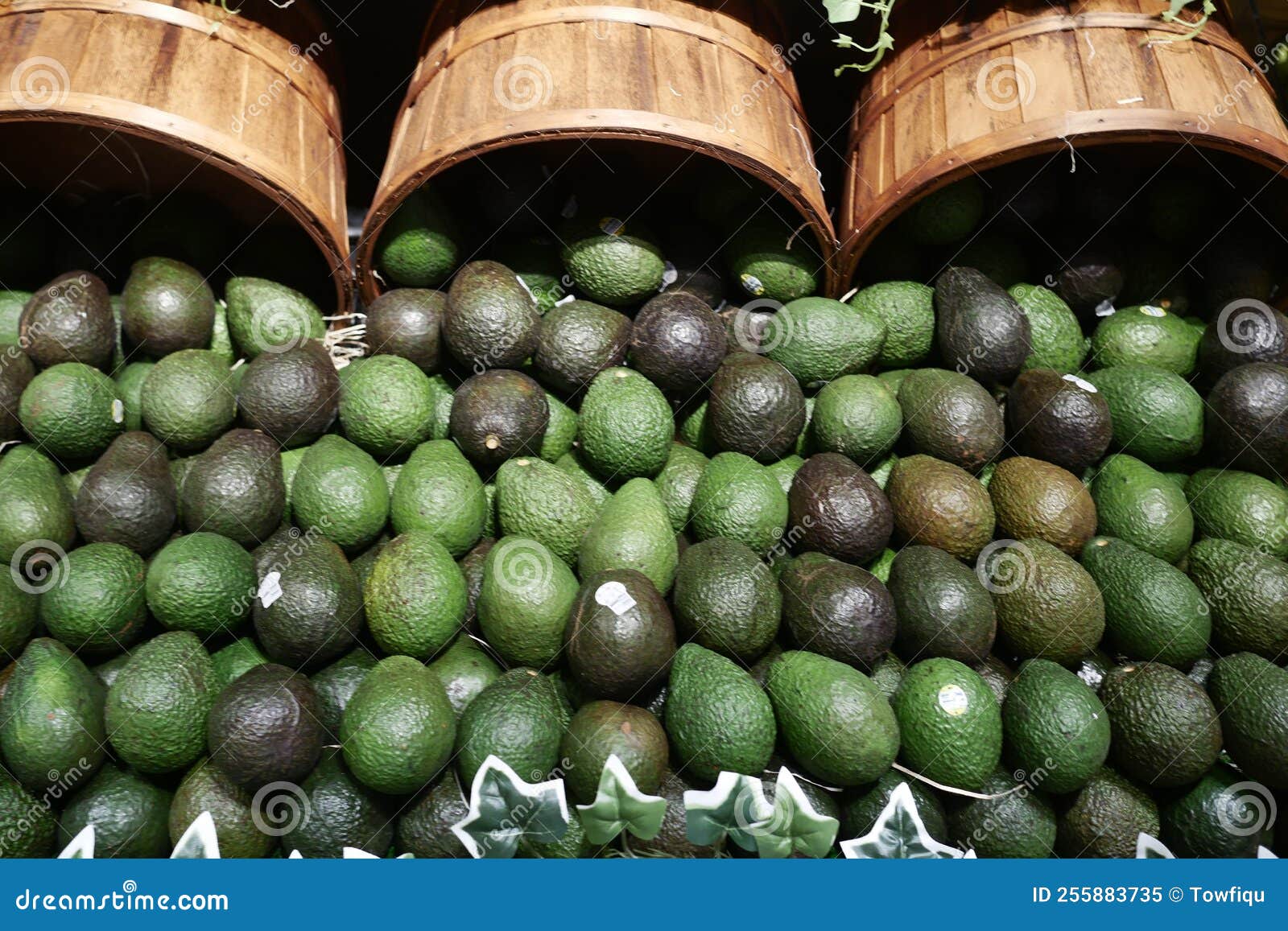 Many Avocado Display for Sale at Local Store Stock Image - Image of ...