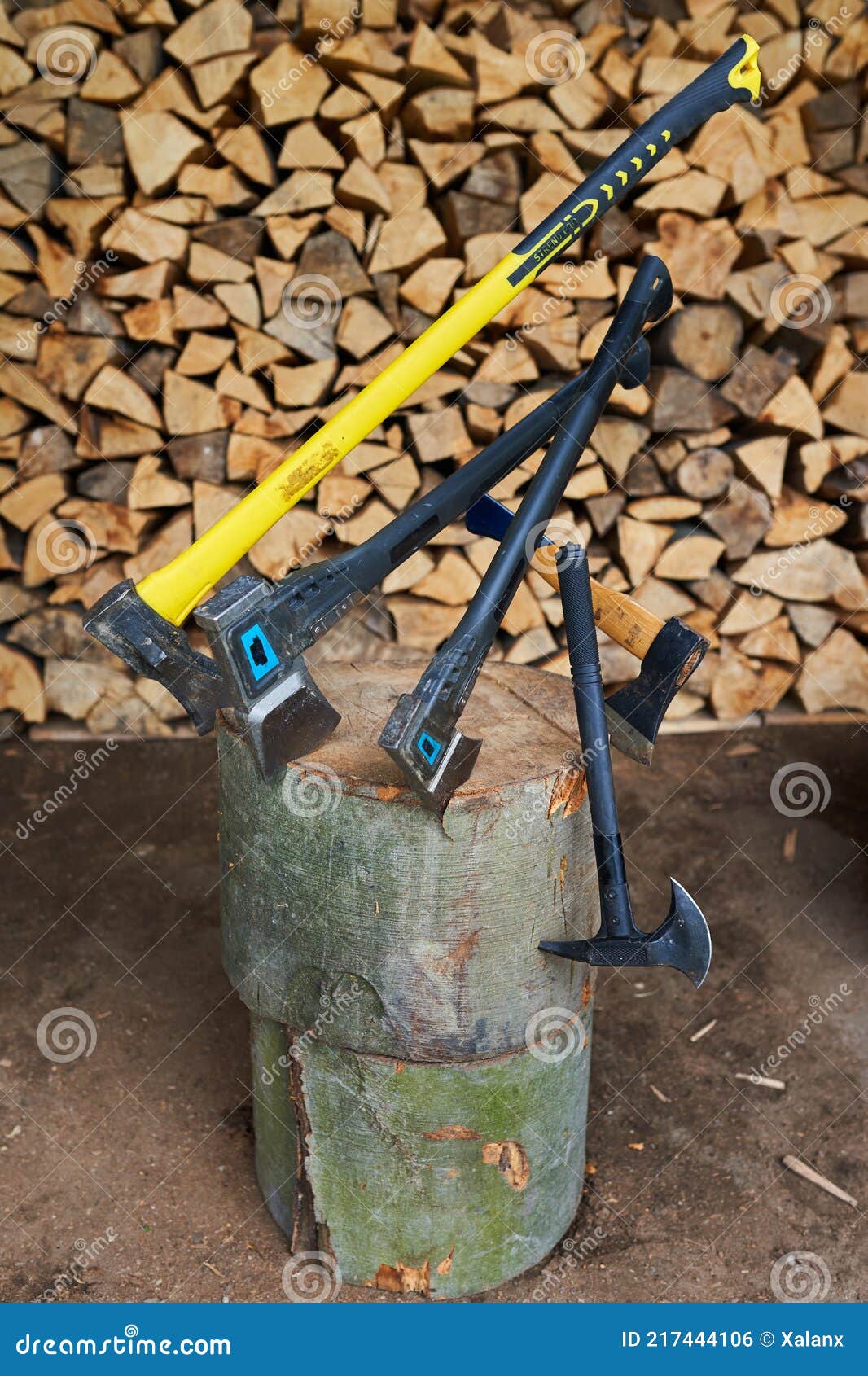 Many axes on a stump stock photo. Image of chop, nature - 217444106